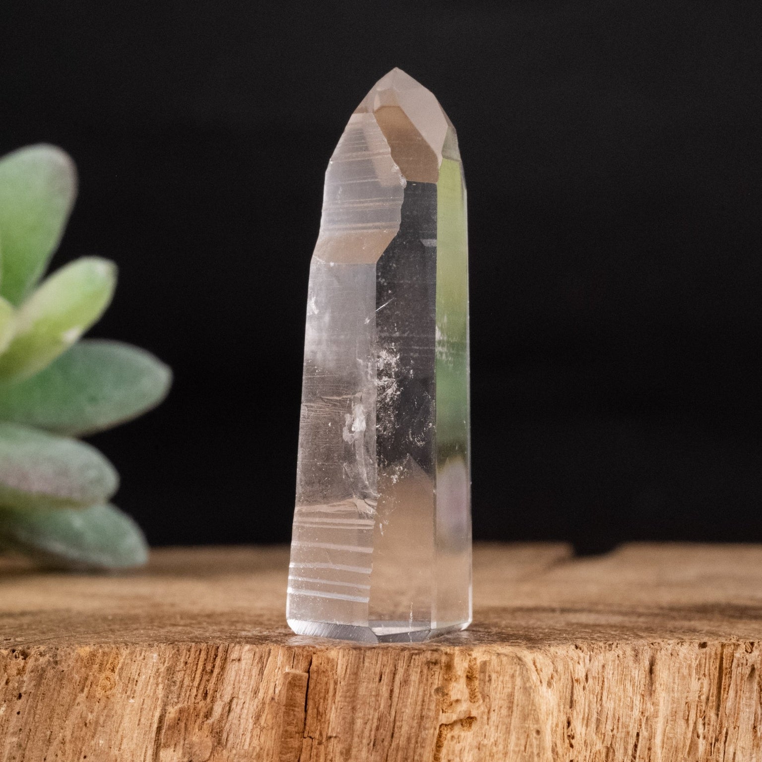 Lemurian Seed Quartz Crystals - Innervision Crystals — InnerVision Crystals