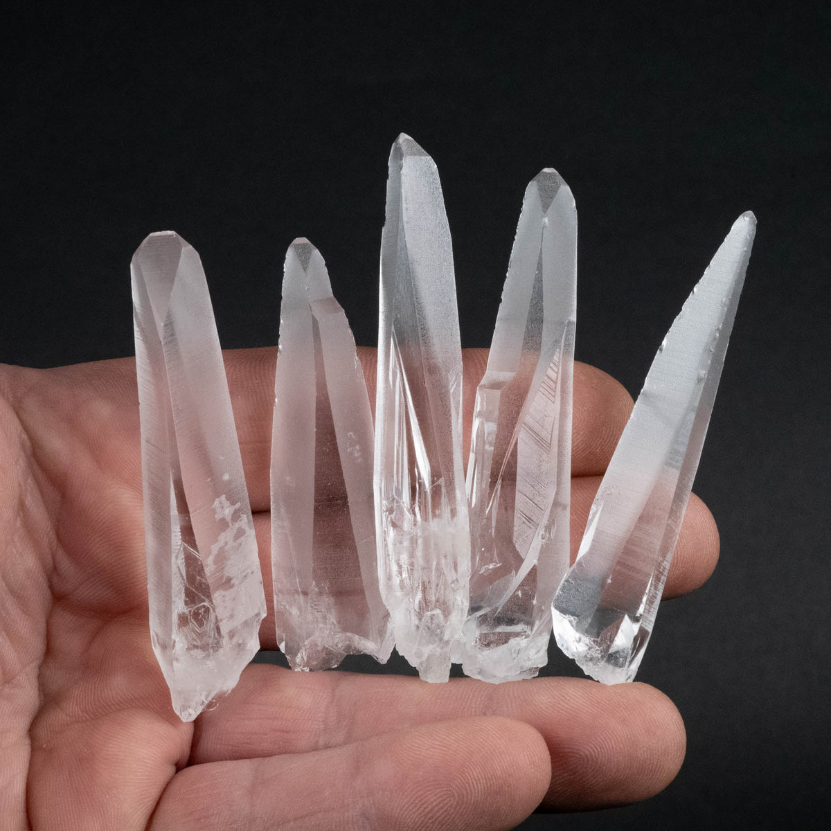 Lemurian Seed Crystal Laser Lot 81 g 63mm-73mm — InnerVision Crystals