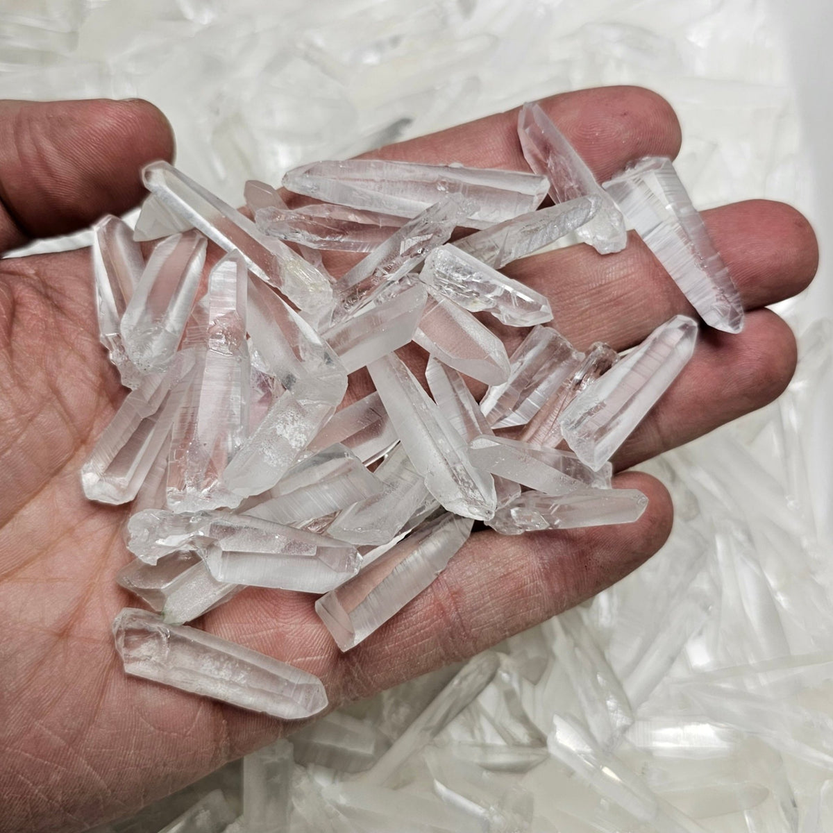 Lemurian Seed Quartz Crystals X-Small | Wholesale Lot — InnerVision ...
