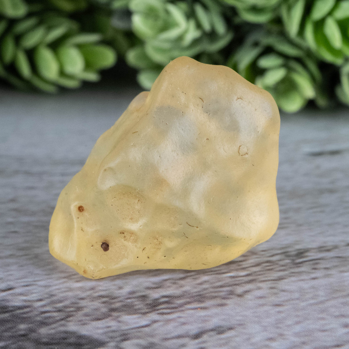 Libyan Desert Glass 14.12 g 32x23x20mm — InnerVision Crystals