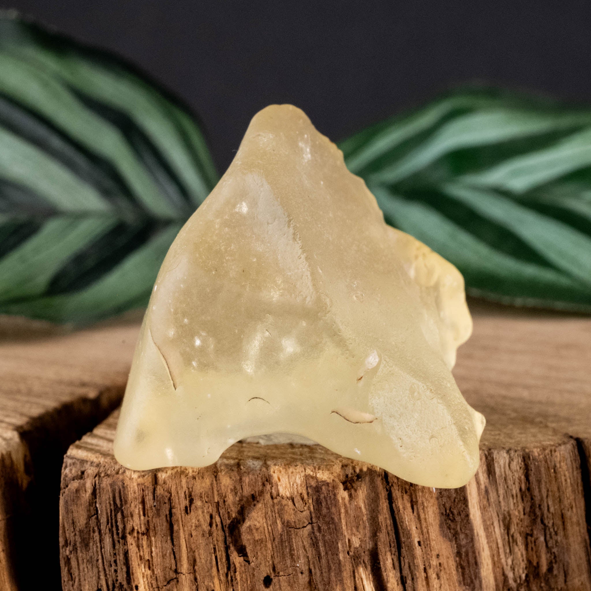 Libyan Desert Glass 20 - 100 grams — InnerVision Crystals