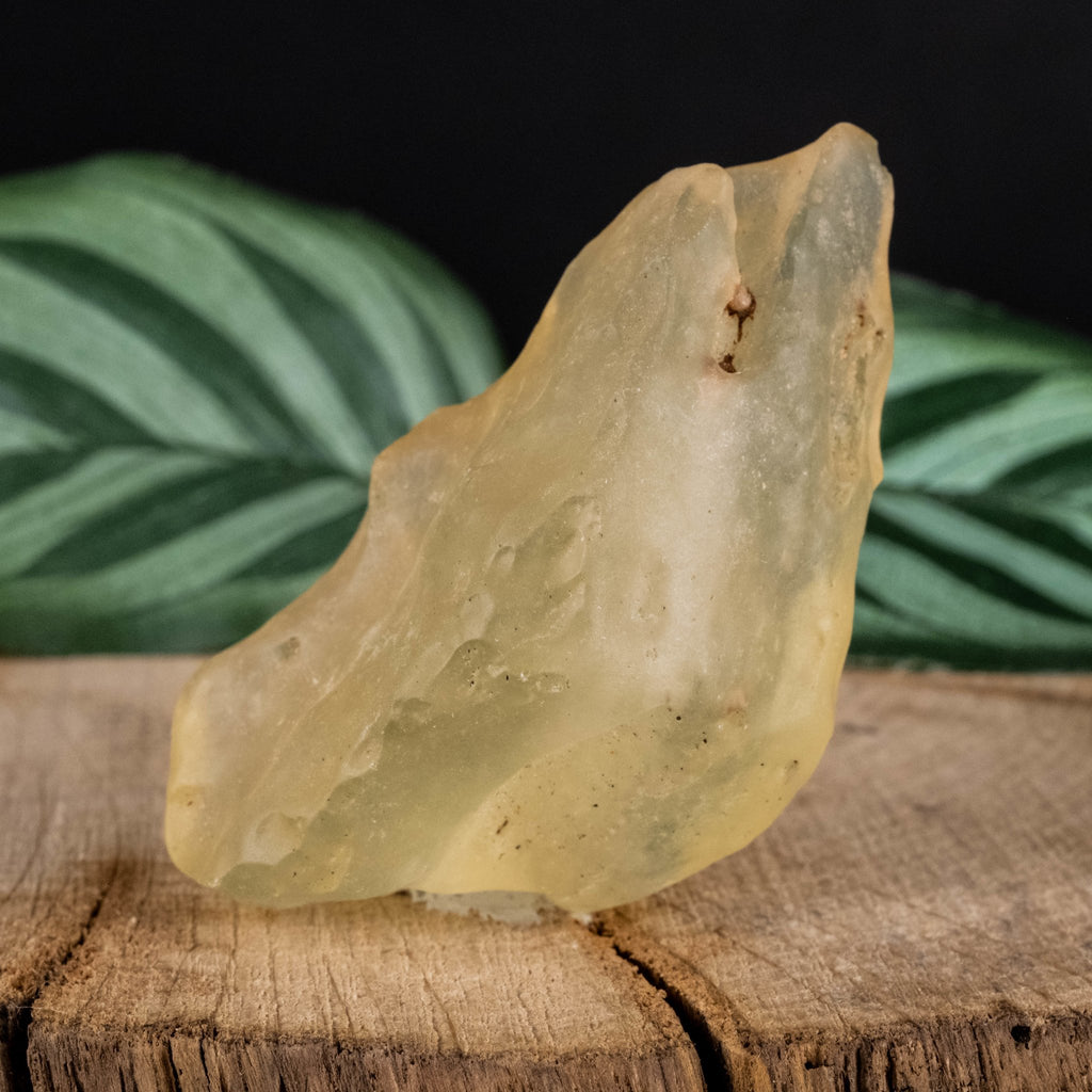 Libyan Desert Glass 20 - 100 grams — InnerVision Crystals